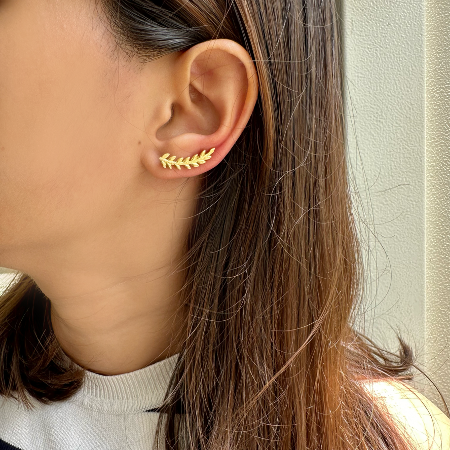 Earcuffs and Earcrawlers